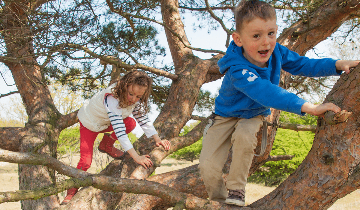 Why Risky Play Is Important For Young Children