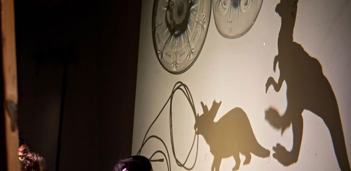 Light And Shadow Play